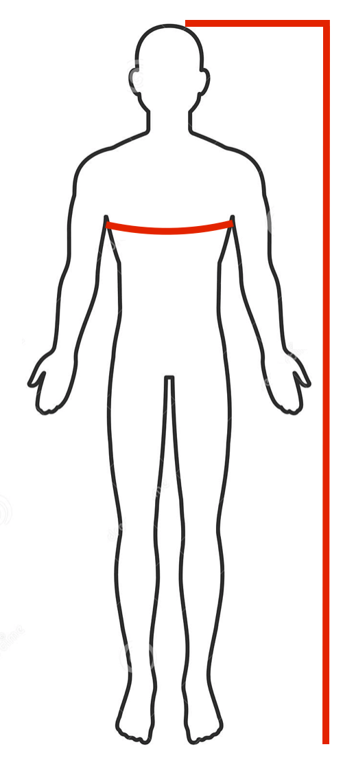 Sizing Guidelines- NewGait