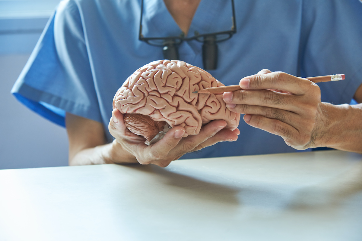 Occipital Lobe Damage: How It Affects Vision & Recovery Occipital Lobe Damage: How It Affects Vision & Recovery